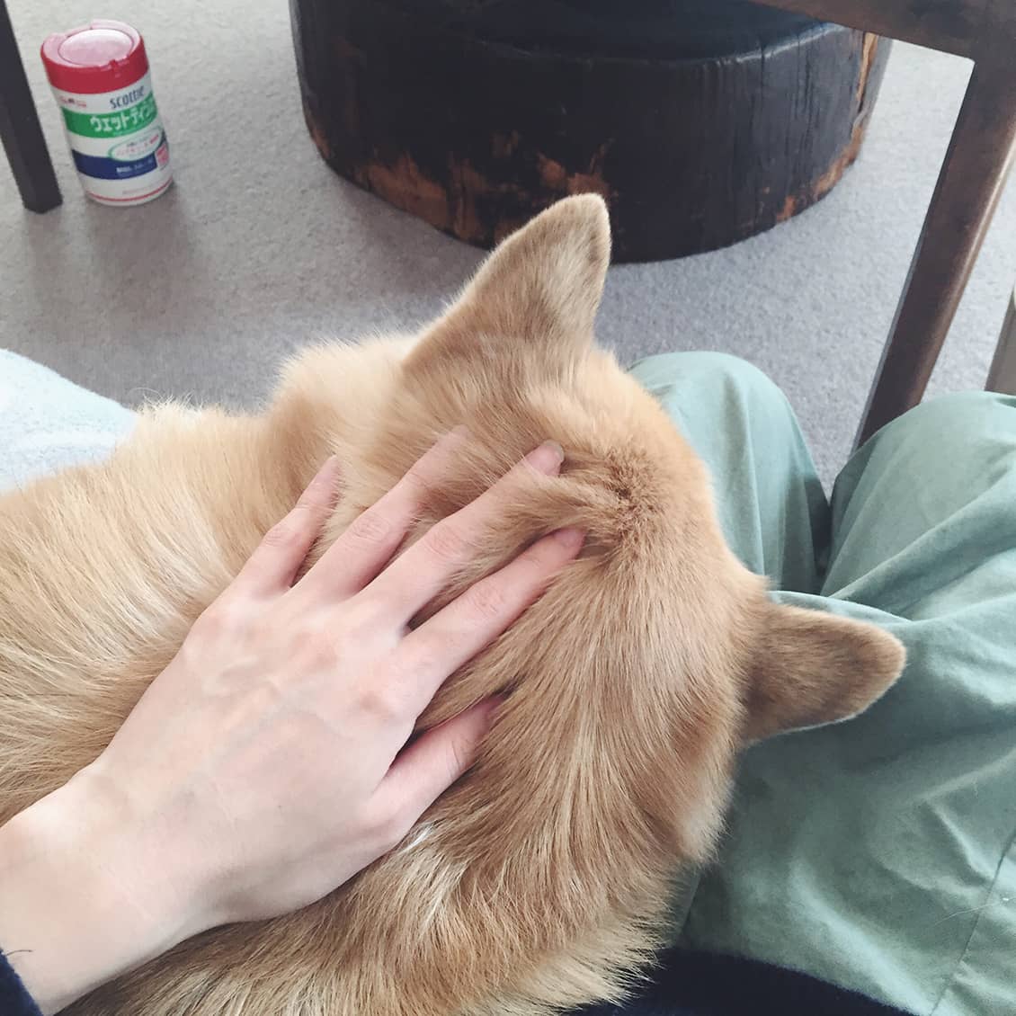 【バイヤーのコラム】お悩み相談コーナーで知った、さみしさ脱出法。 – 北欧、暮らしの道具店